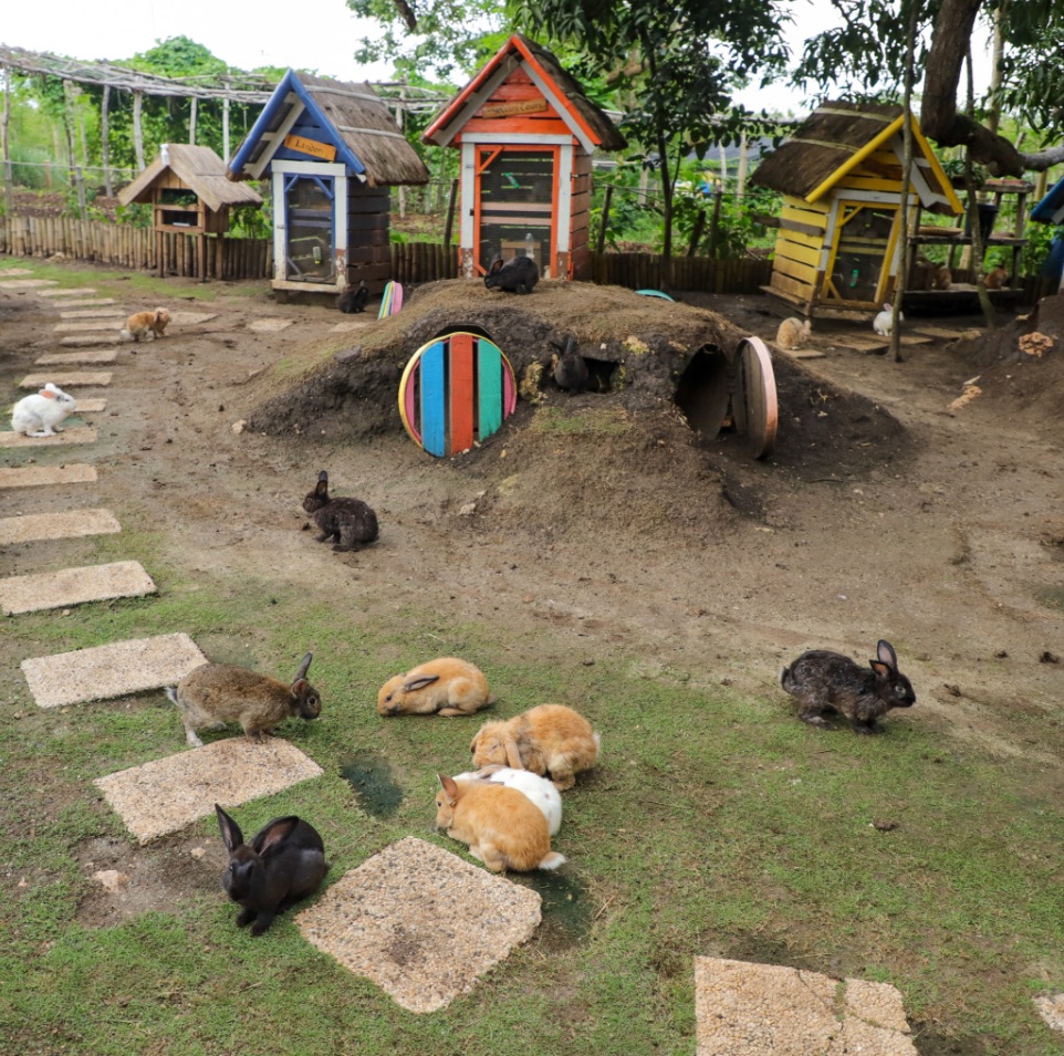 Welcoming You Back To Bohol